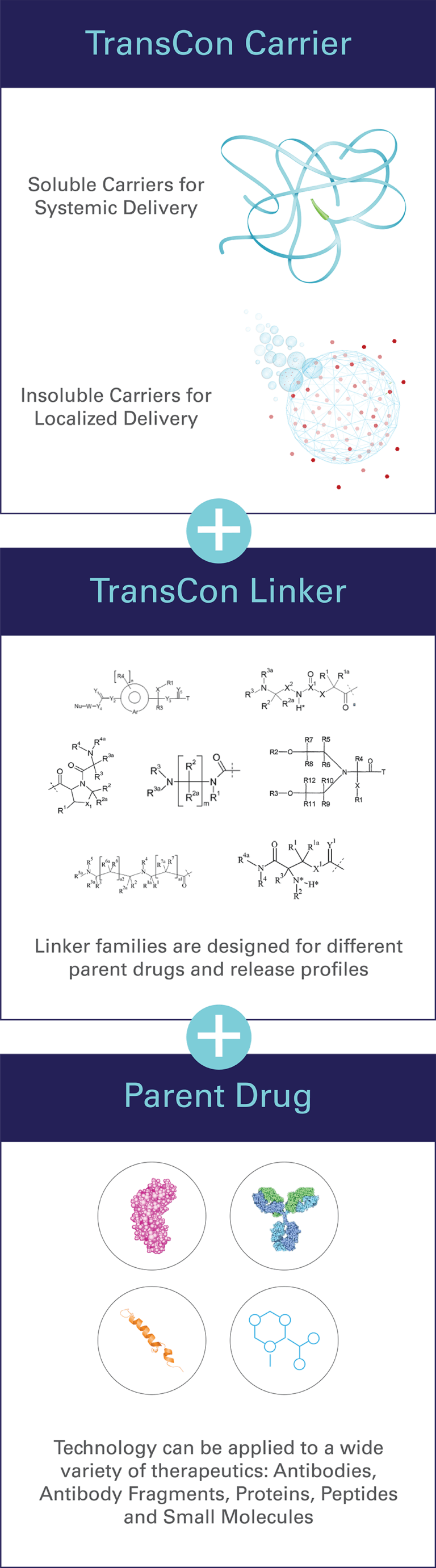 Technology | Ascendis Pharma